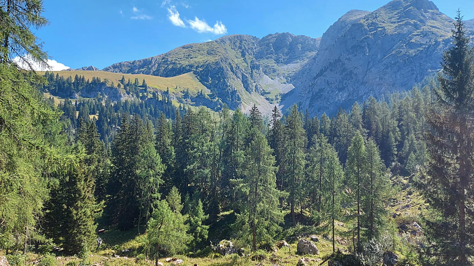 Rotspielscheibe, Fagstein, Wanderung Königssee Berchtesgaden