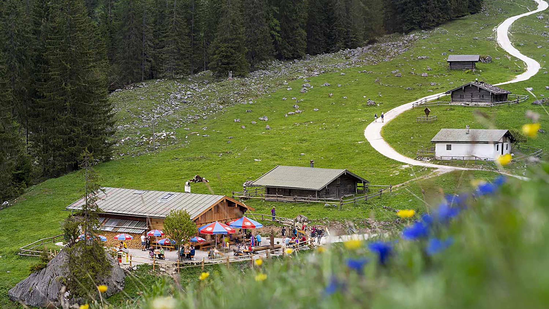 Gotzenalm - Mountainbike, E-Bike Tour, Königssee, Berchtesgaden