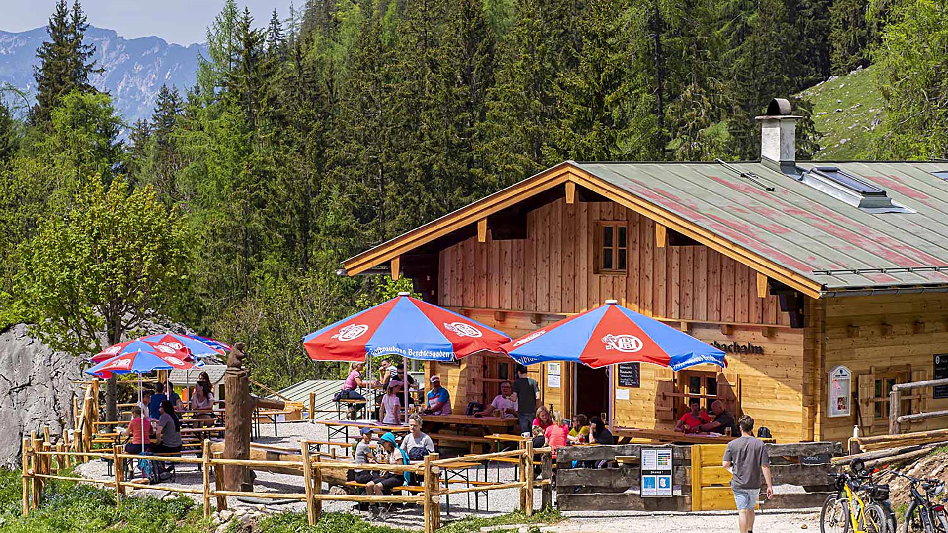 Gotzenalm - Mountainbike, E-Bike Tour, Königssee, Berchtesgaden