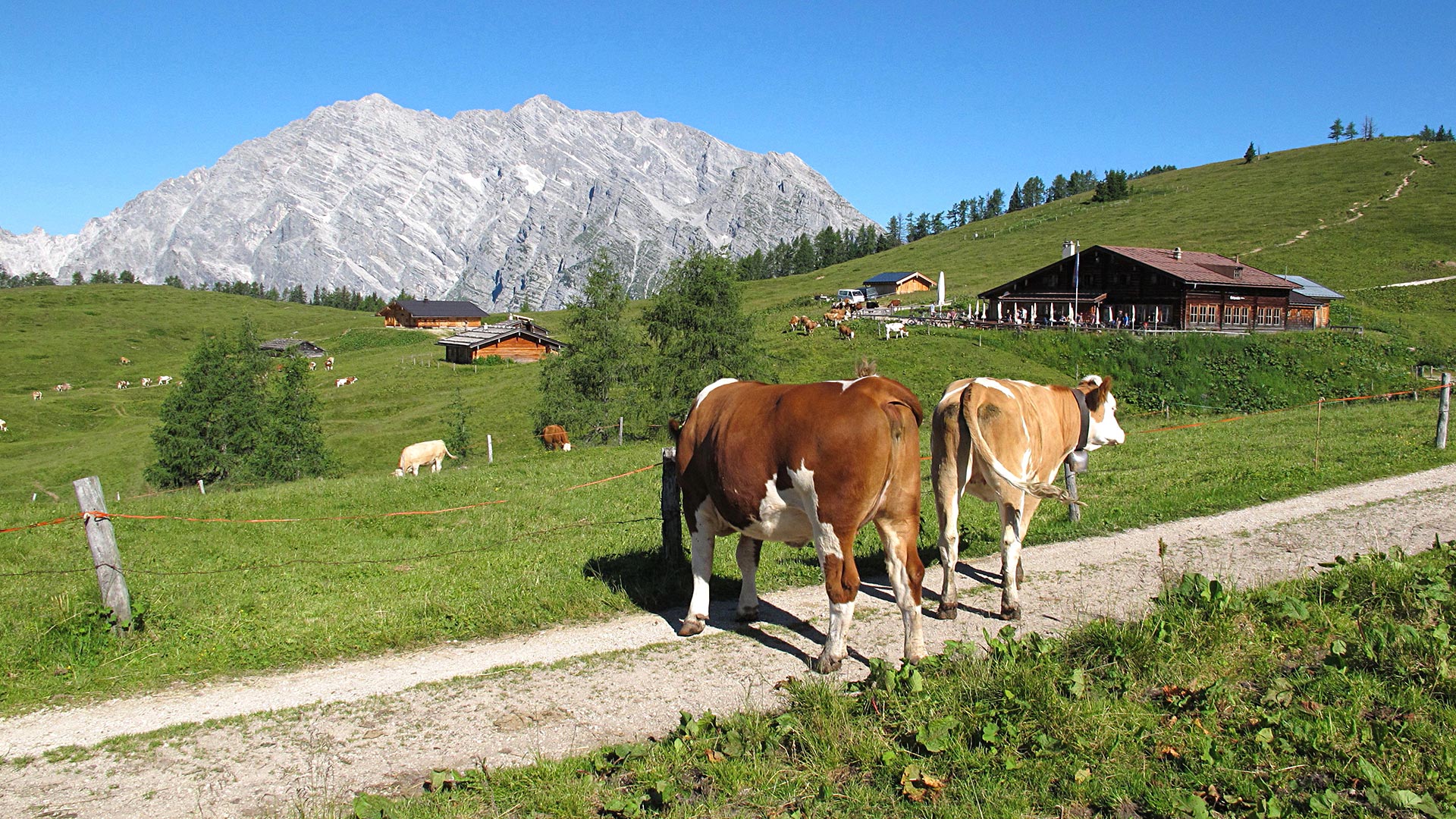 Gotzenalm - Mountainbike, E-Bike Tour, Königssee, Berchtesgaden