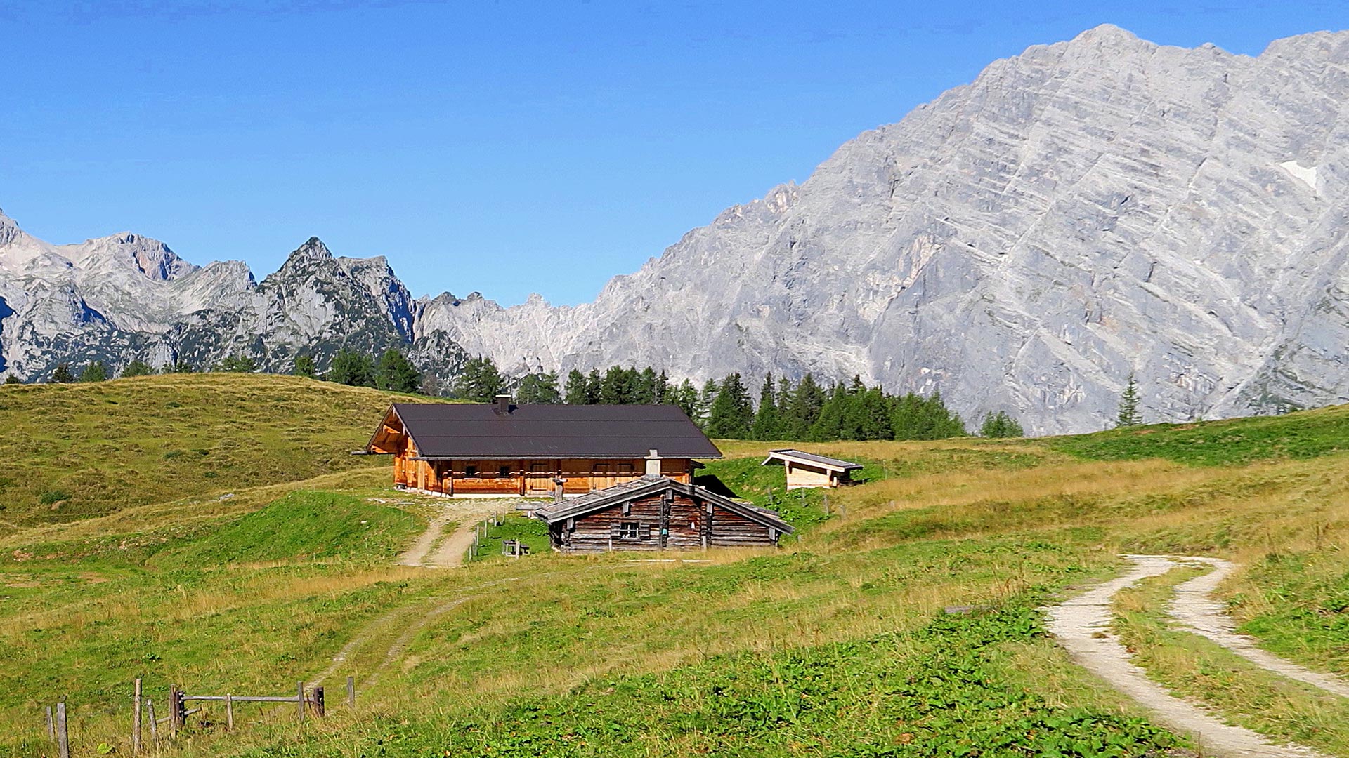 Gotzenalm - Mountainbike, E-Bike Tour, Königssee, Berchtesgaden