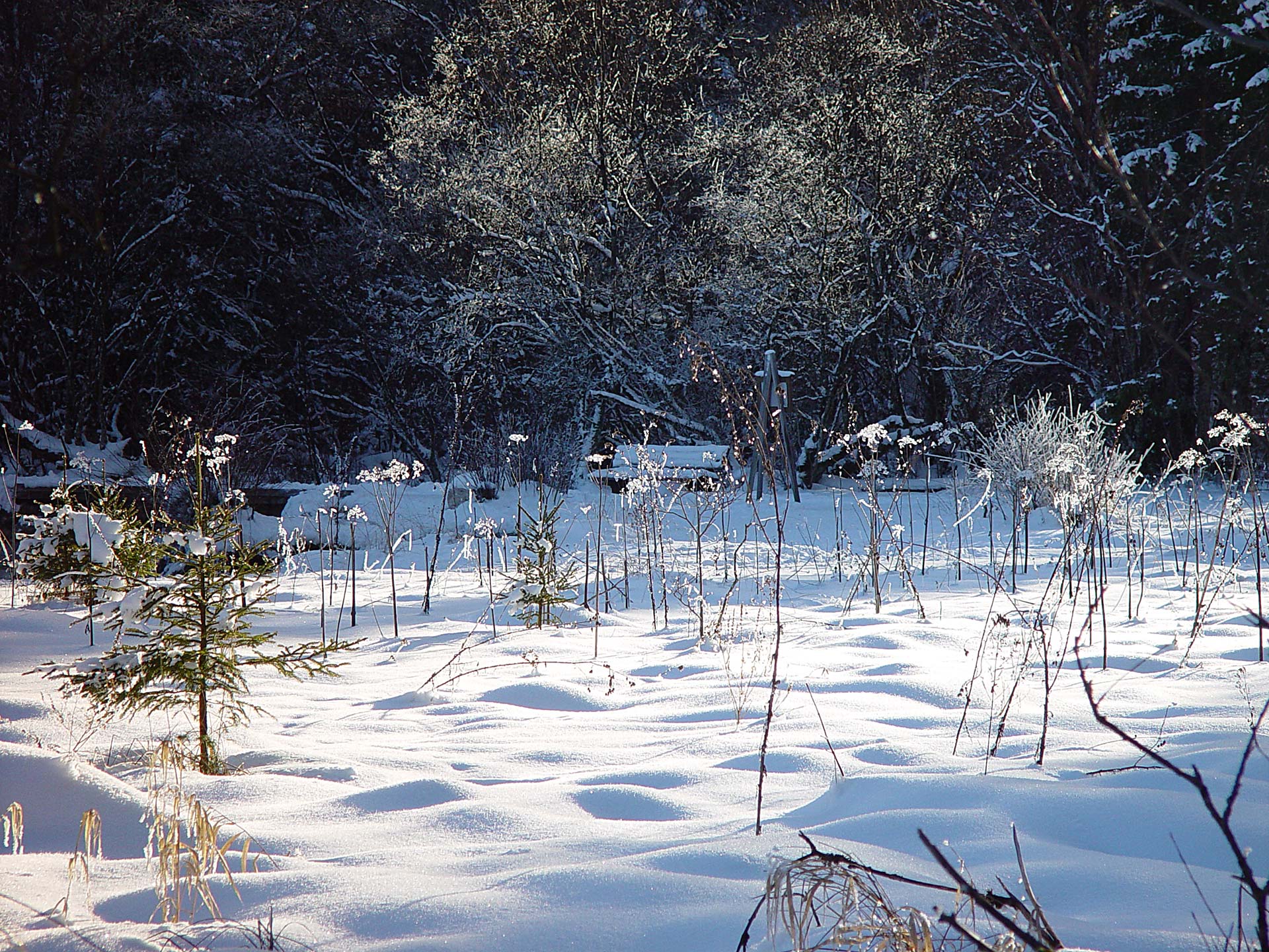 Winterurlaub Hintersee, Skitouren, Skifahren, Wandern